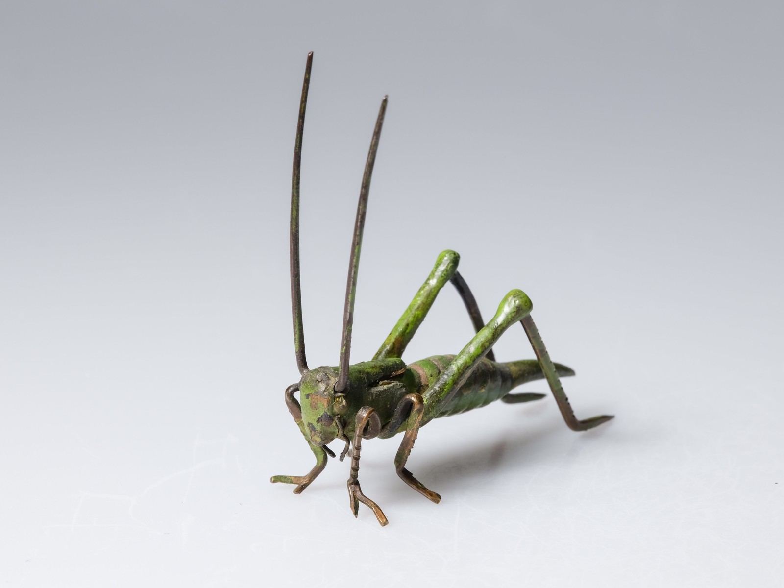 Luční kobylka - Na velikosti (NE) záleží - Livebid.cz