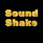 Sound Shake - Orchestre : Rock, Soul, Pop | Linkaband