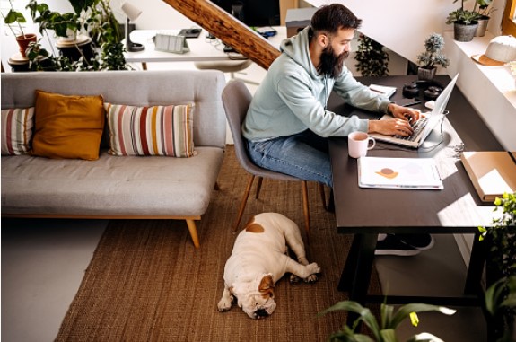 13 Common Challenges of Remote Work: Strategies and Tips To Overcome ...