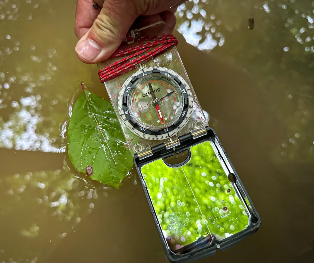 35+ Easy Science Experiments for Kids to Try at Home – Loveable
