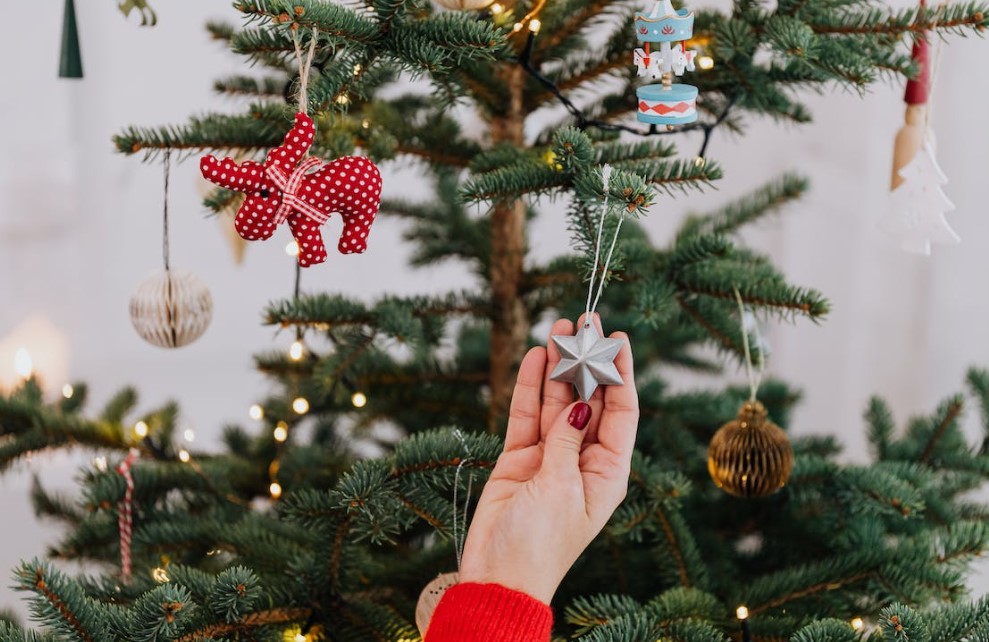 15 Unique Polish Christmas Traditions Where Culture and Celebration ...