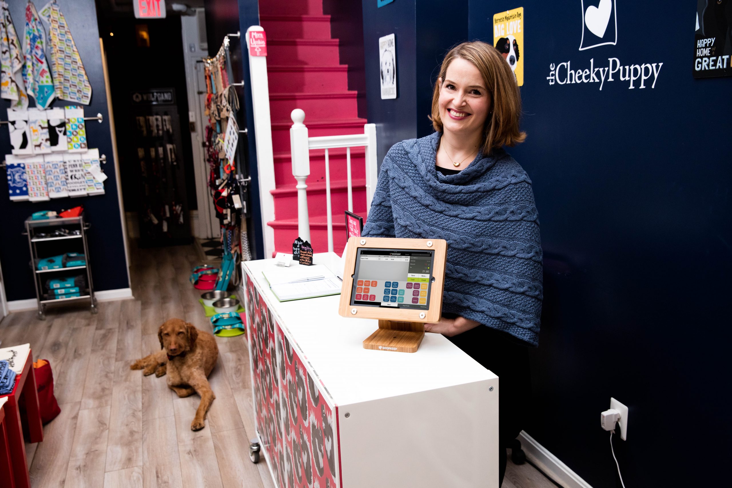 How to Start a Profitable Pet Grooming Business