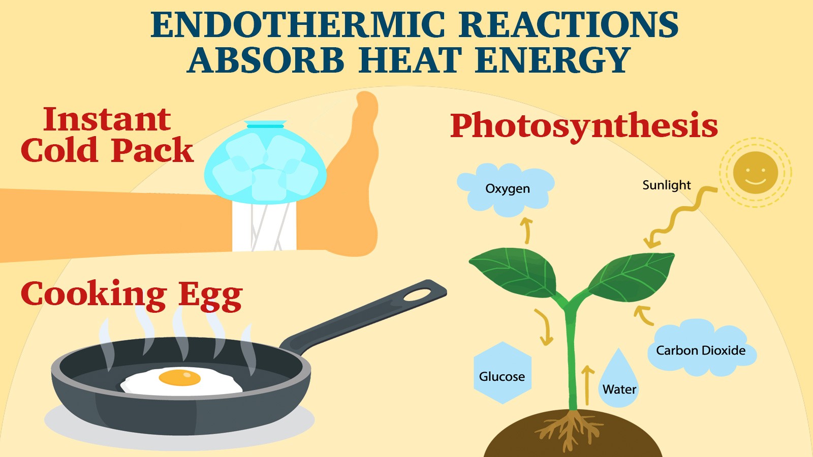 Endothermic Reaction Definition Differences And Examp - vrogue.co Endothermic Reaction Definition Differences And Examp - vrogue.co