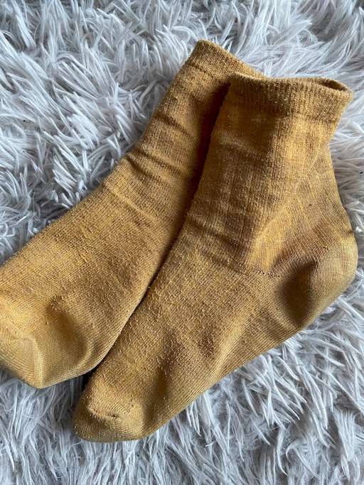 今日の靴下( •́ฅ•̀ ) - Luscio ラシオ