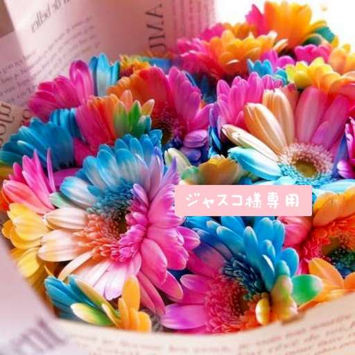 ジャスコ様専用 - Luscio ラシオ