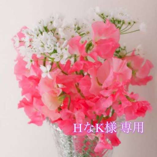 HなK様専用 - Luscio ラシオ