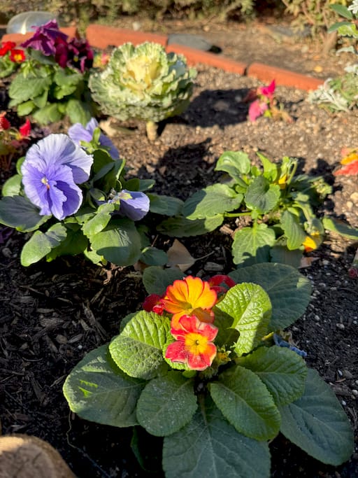 K様専用出品- Luscio ラシオ