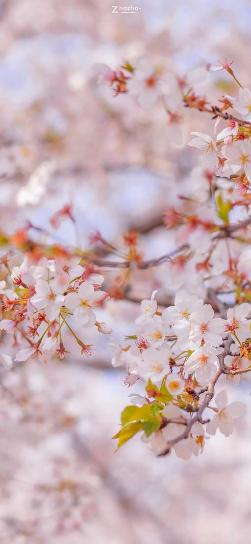 REON - 購入者のプロフィール｜Luscio ラシオ