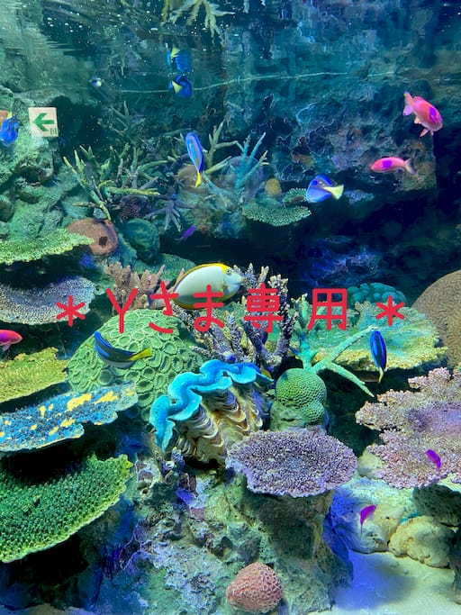 Yさま専用 - Luscio ラシオ