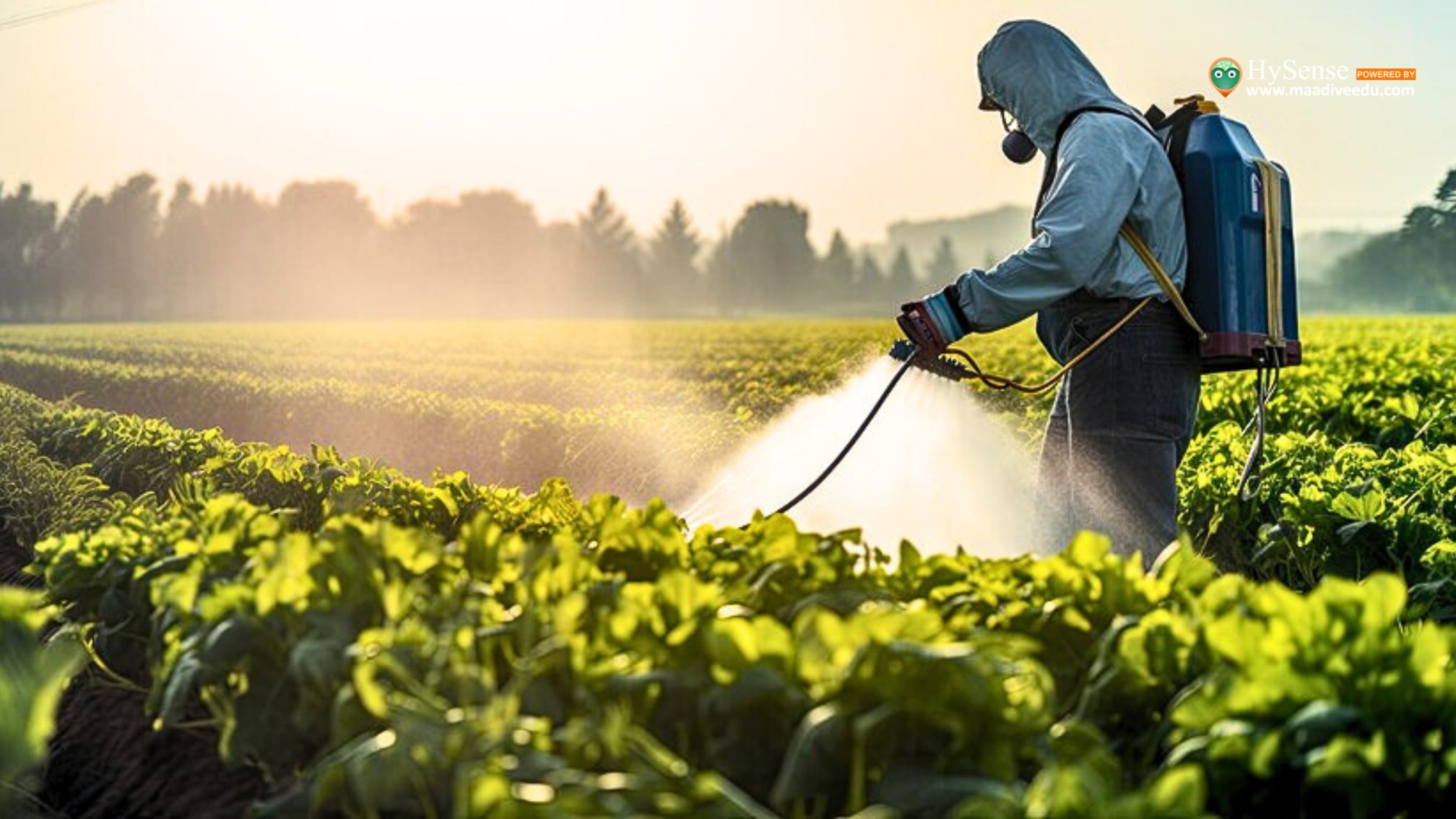 Why Farmers Use Pesticides on Crops: Benefits, Uses, and Importance ...