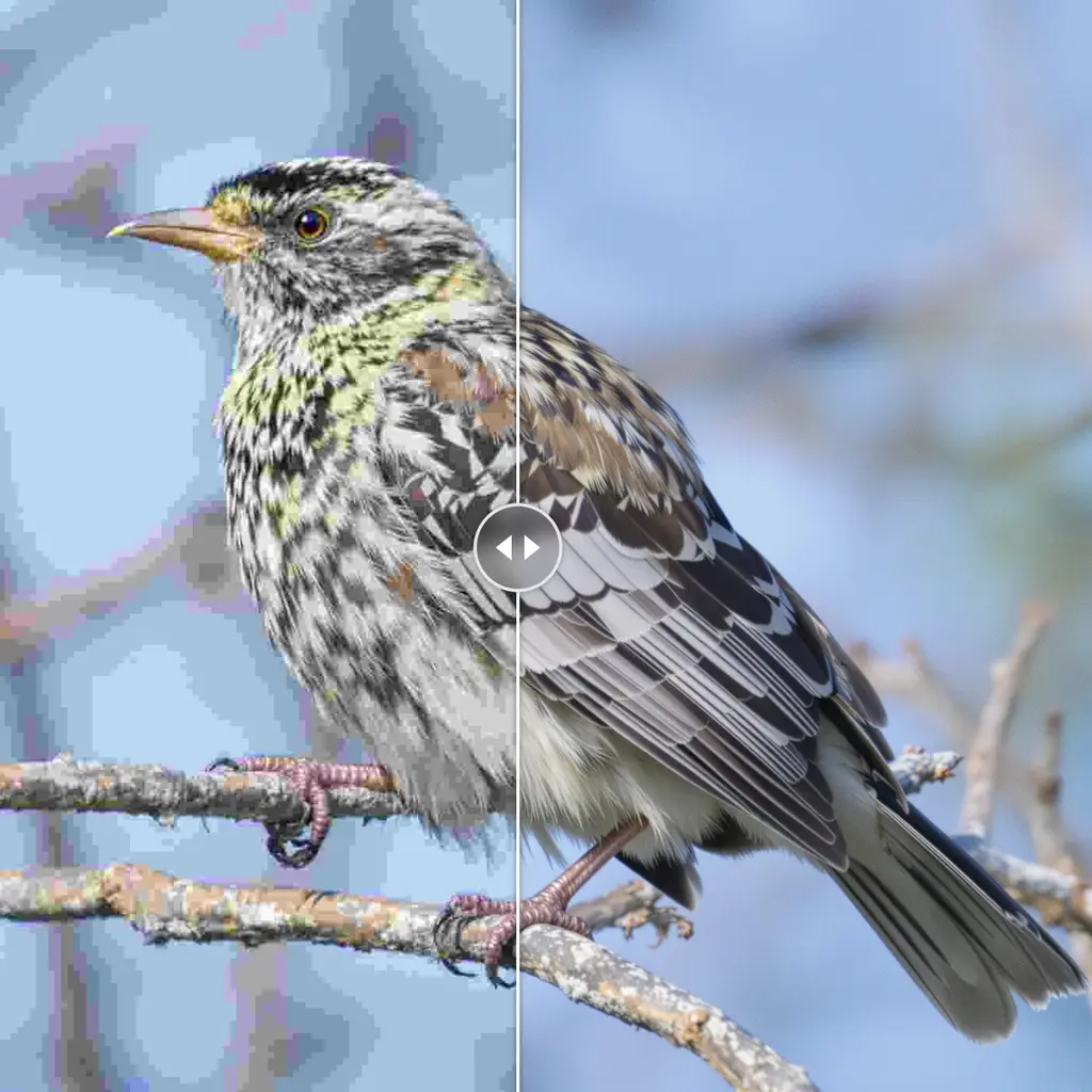 CCSR Upscaler | AI Model | Eachlabs