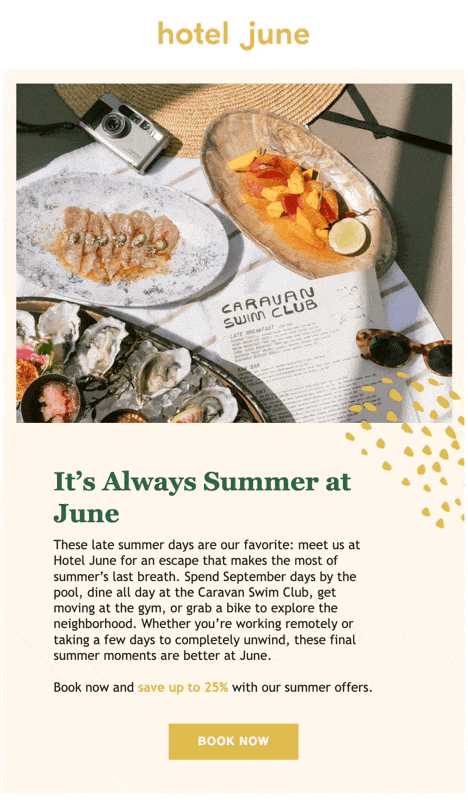 18 Summer Newsletter Ideas + Subject Lines and Design Tips - MailerLite