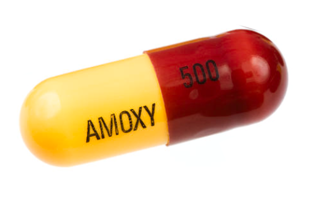 Amoxicillin 500mg - 100 - sourceonedental.com