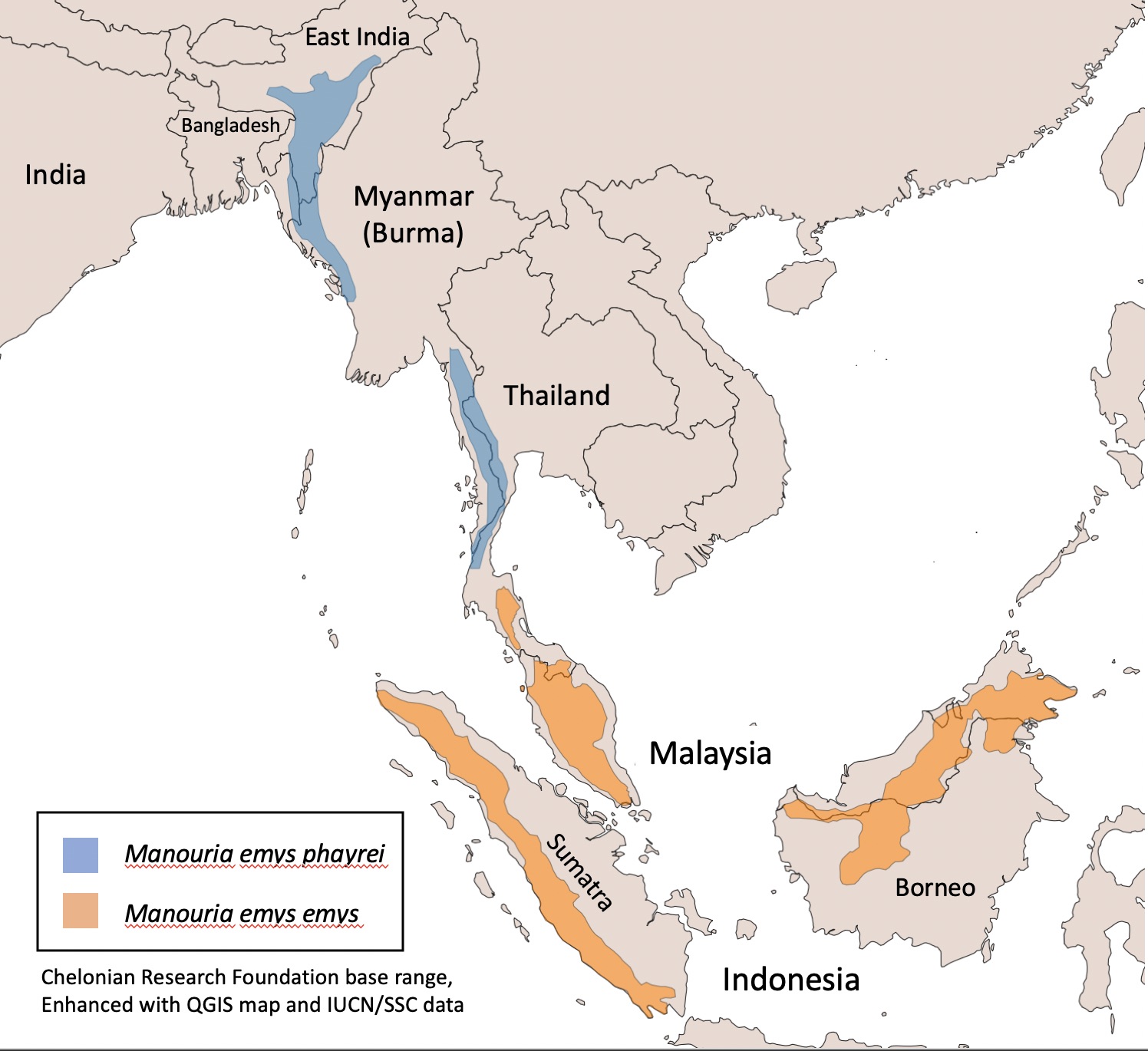 Mountain Tortoises - Manouria emys emys and phayrei
