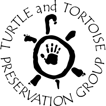 Mountain Tortoises - Manouria emys emys and phayrei