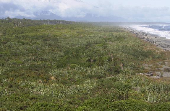 Tai Poutini, Te - Te Aka Māori Dictionary