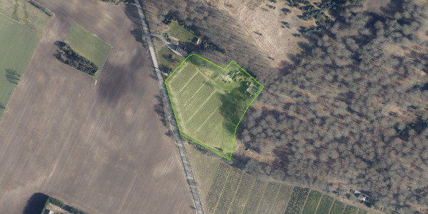 Tinghusvej 9, 8680 Ry – Se vigtig info