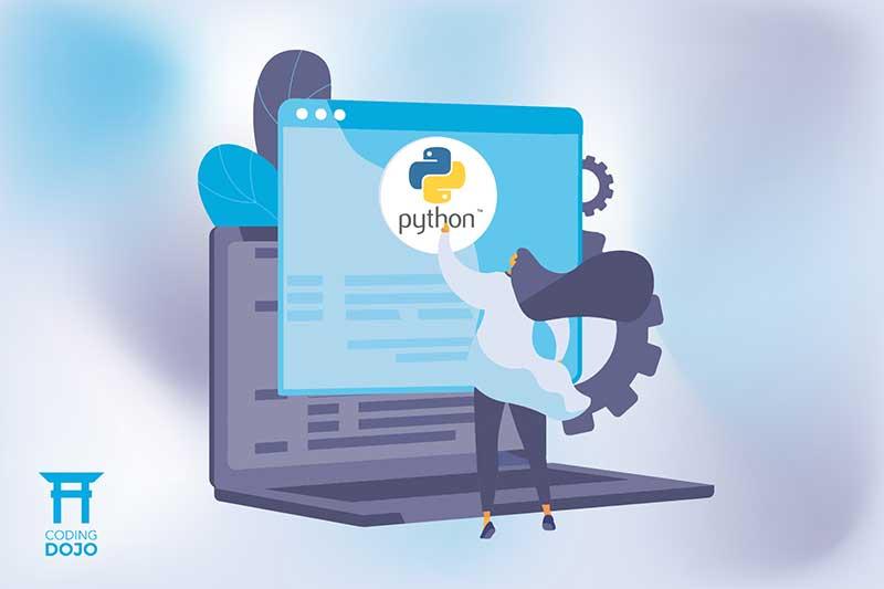 How to Learn Python From Scratch in 2024: An Expert Guide