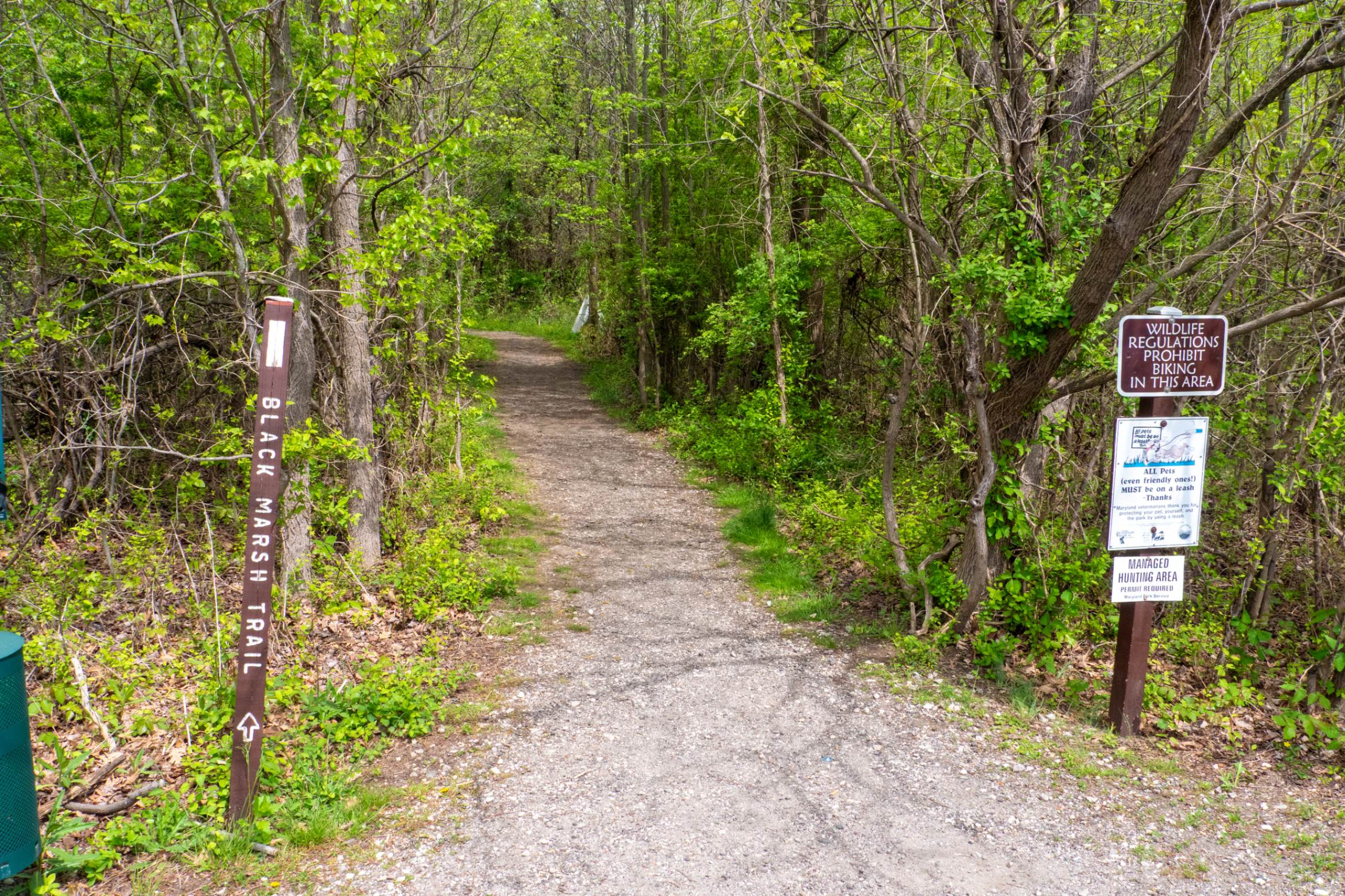 skip to main content maryland park service