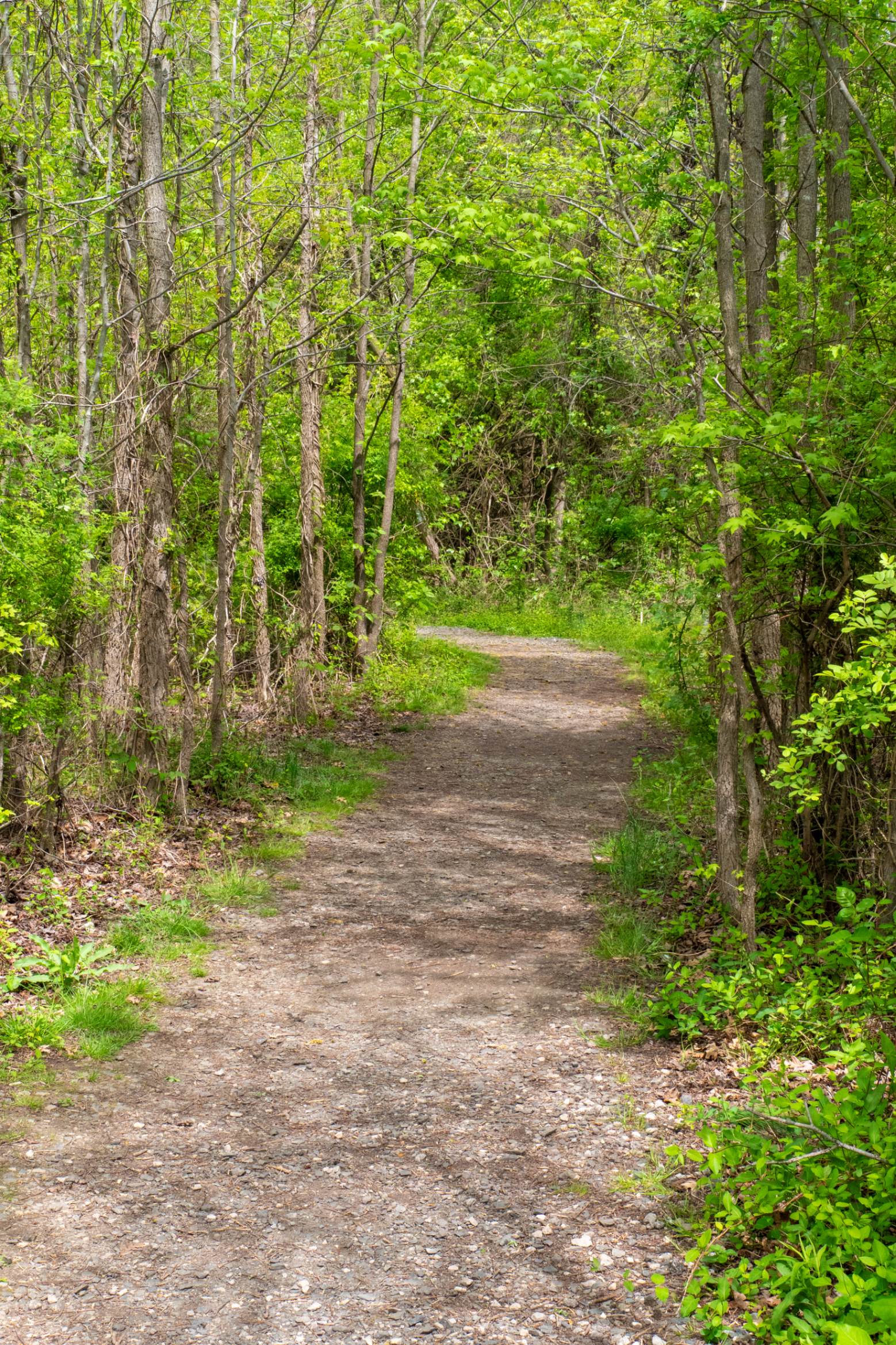 skip to main content maryland park service