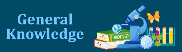 mChamplite-India's Best online Triva Quiz website for fun