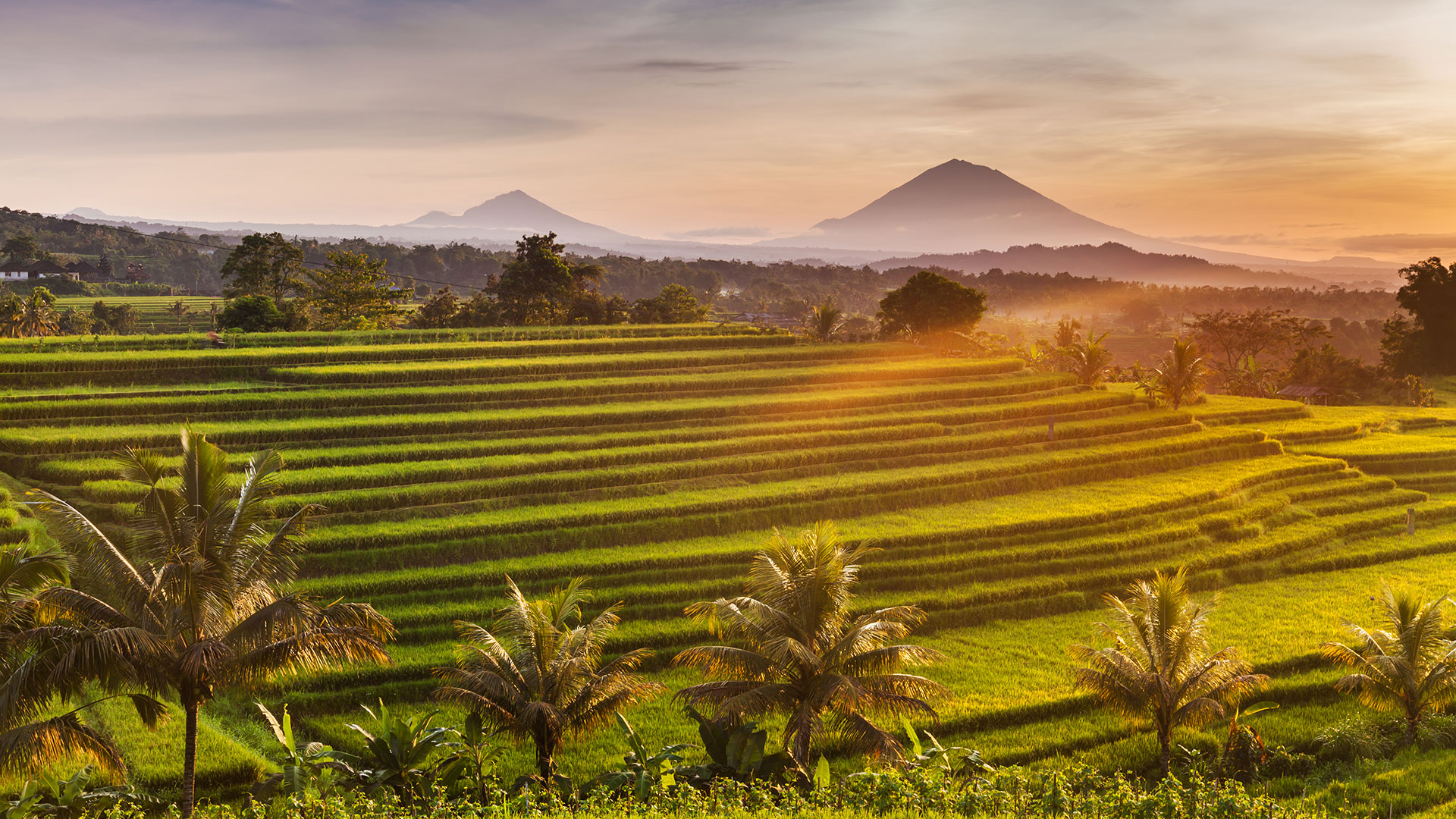 7 Reasons Why Bali Is Brilliant