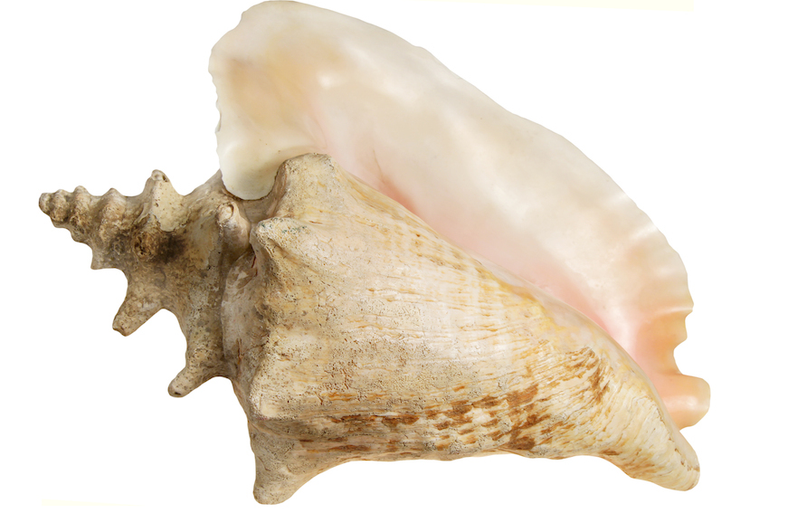 What Are You Allowed to Take Through Customs and What Not? - KLM Blog