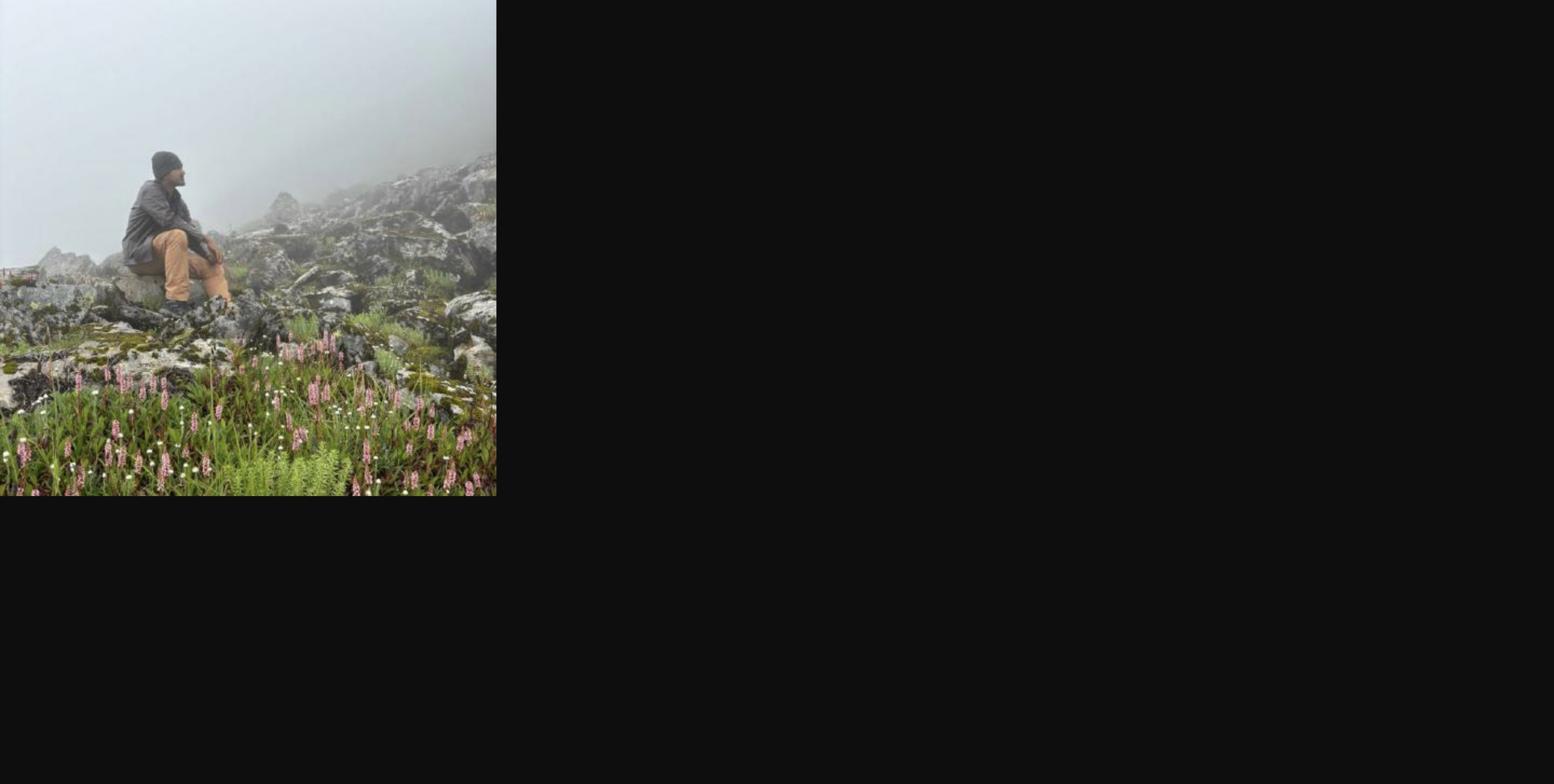 Mcp Server Redis MCP Server