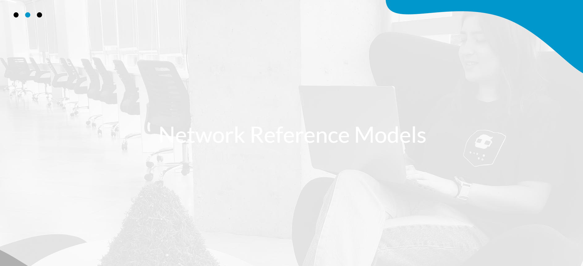 Network Reference Models
