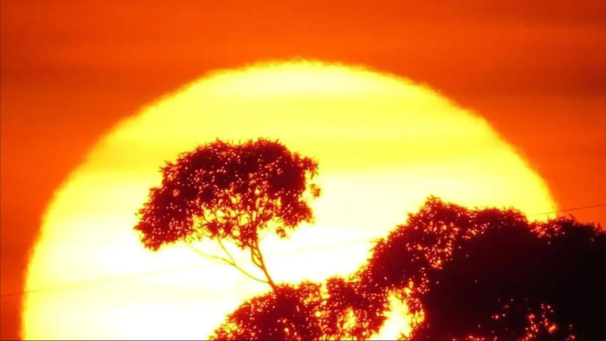 Temperaturas extremas: estos son los países más "calientes"