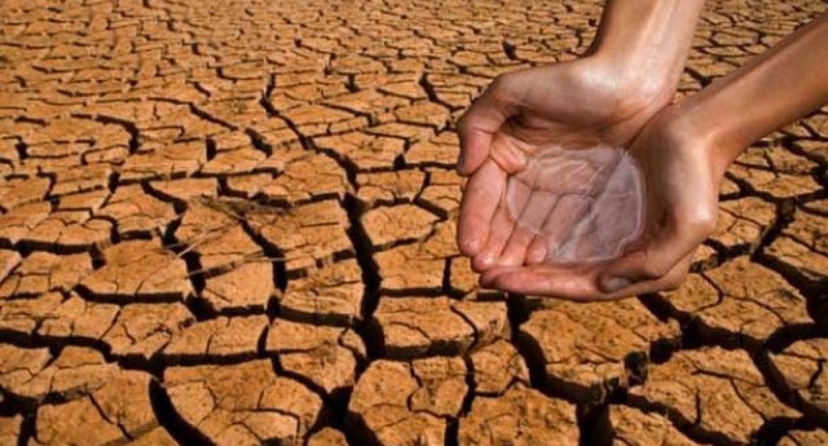 Desertification affects 3 billion people worldwide - Noticias Ambientales