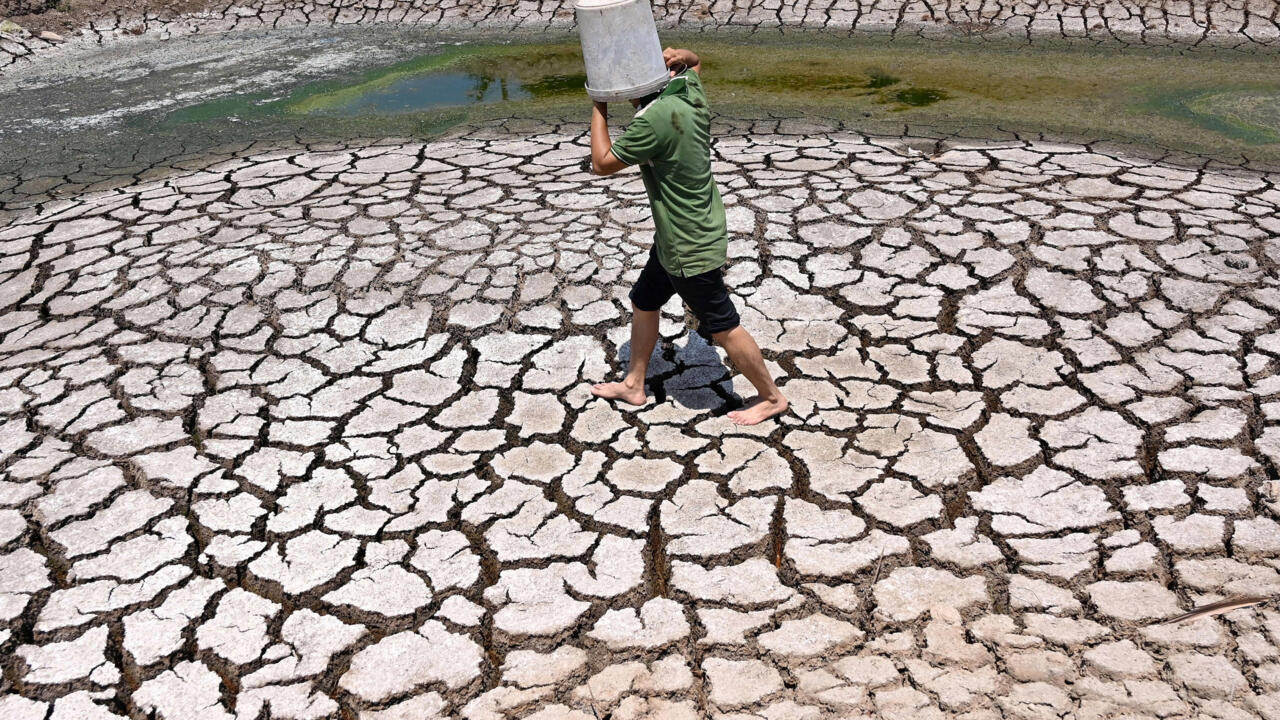 Record global temperature: 2024 could be the first year to exceed 1.5°C ...