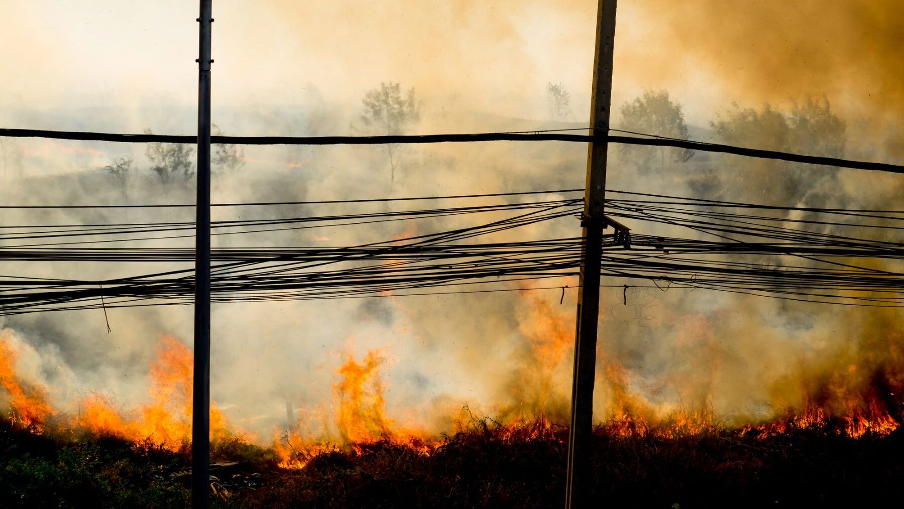 ¿Cómo se originan los incendios forestales? Conocer y prevenir para evitar
