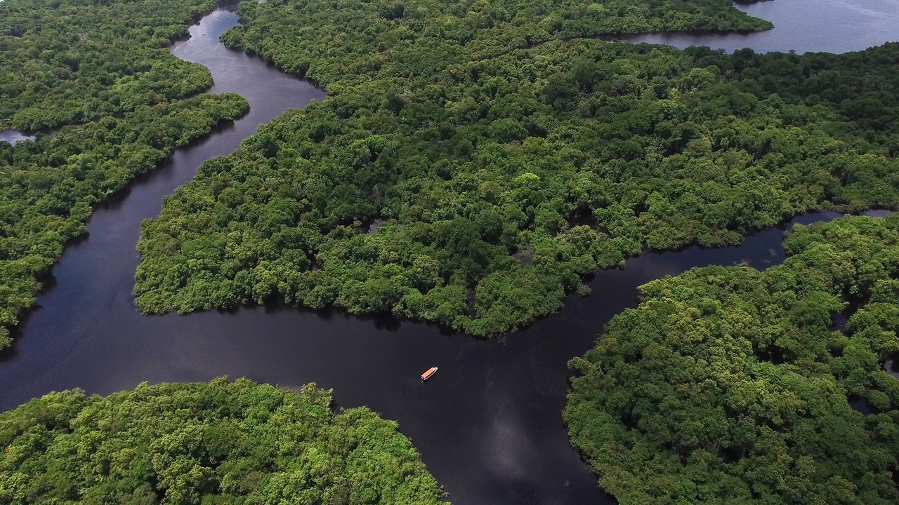 The starting point of the Amazon River: where is it located? - Noticias ...