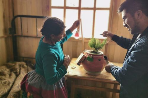 Vegetable electricity: sustainable energy for home and city - Noticias ...