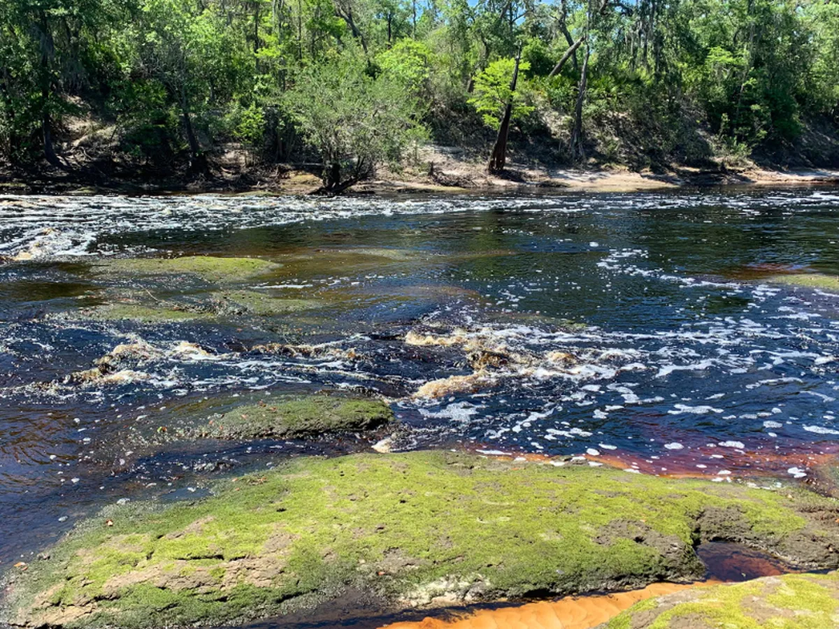 Florida will build a new state park on one of its most beautiful ...