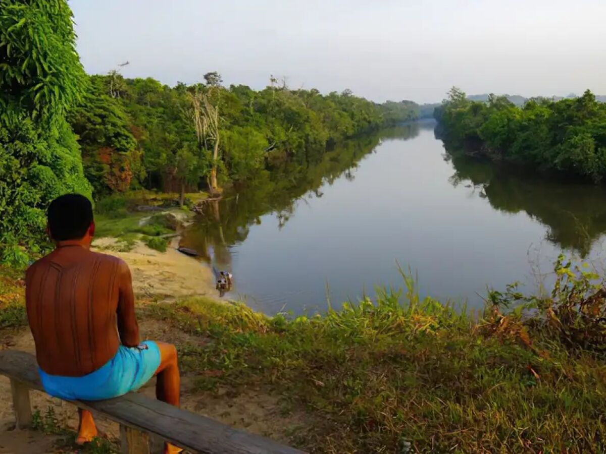 Brazil records 119 indigenous tribes in voluntary isolation - Noticias ...