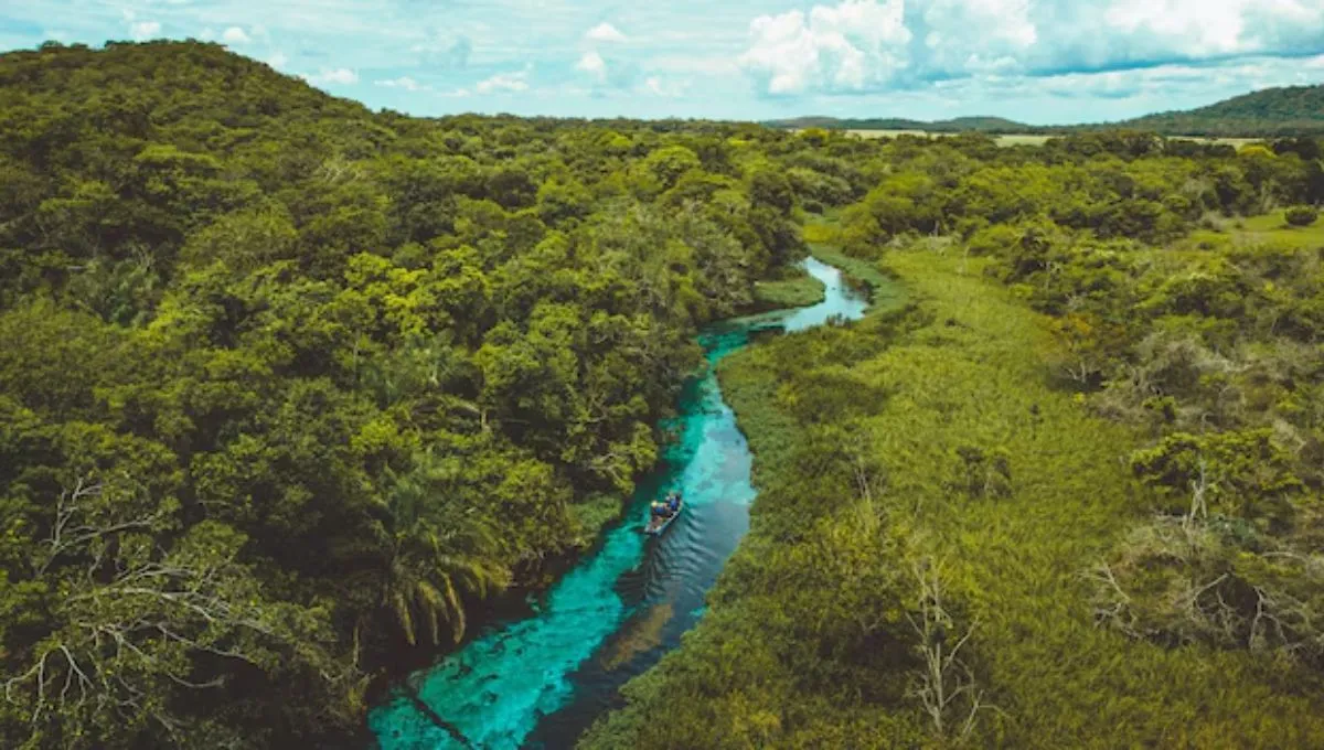 The clearest river on the planet is in Latin America. - Noticias ...