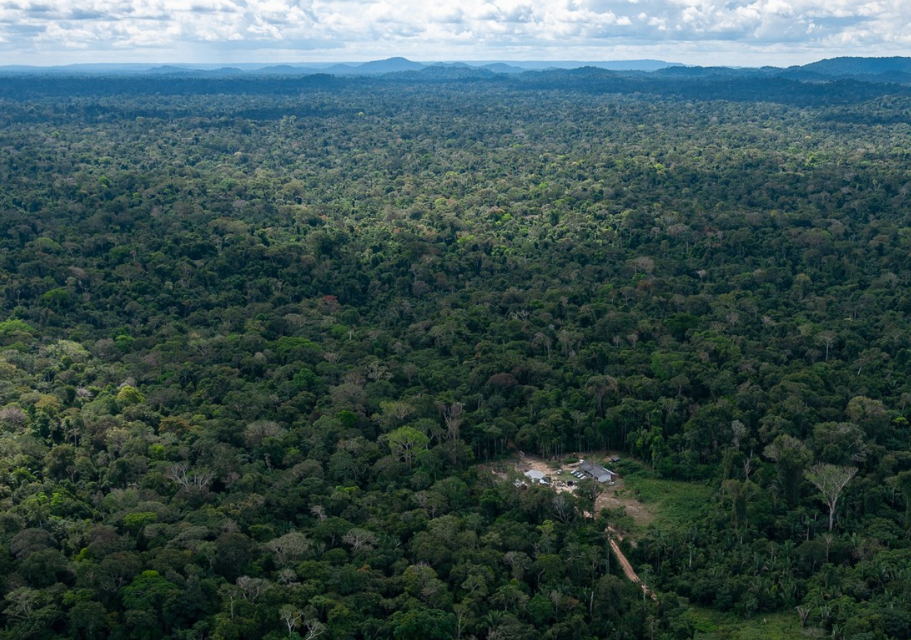 Rain sustains 80% of productive indigenous lands in the Brazilian ...