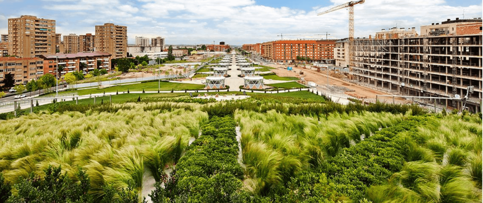 Qué son los jardines de lluvia y cómo ayudan contra inundaciones