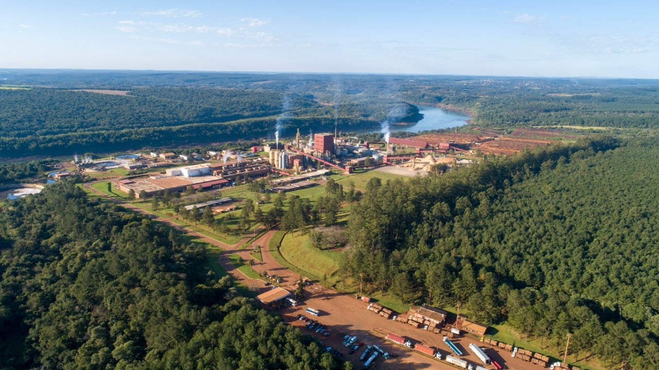 Arauco forestry company to become self-sufficient with new renewable ...