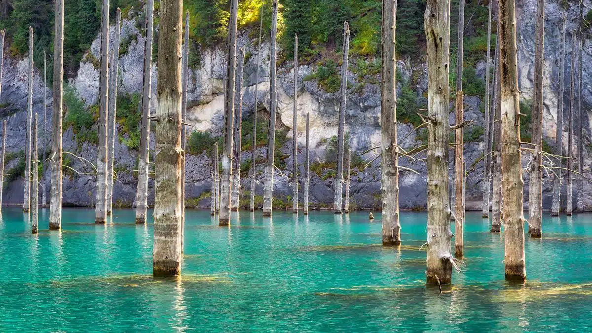 El sorprendente bosque sumergido del Lago Kaindy