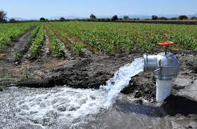 Avoiding waste: Italy wastes water equivalent to 43 million people: Can ...