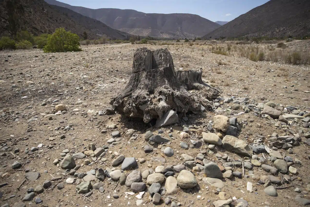 Chile e seu preocupante sobregiro ecológico: o impacto de seis anos de ...
