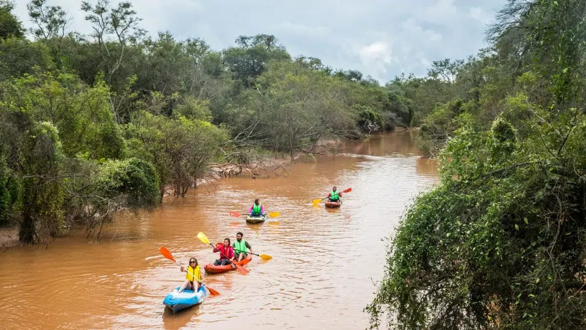 Chaco: Between dirt roads and natural reserves, the province invites ...