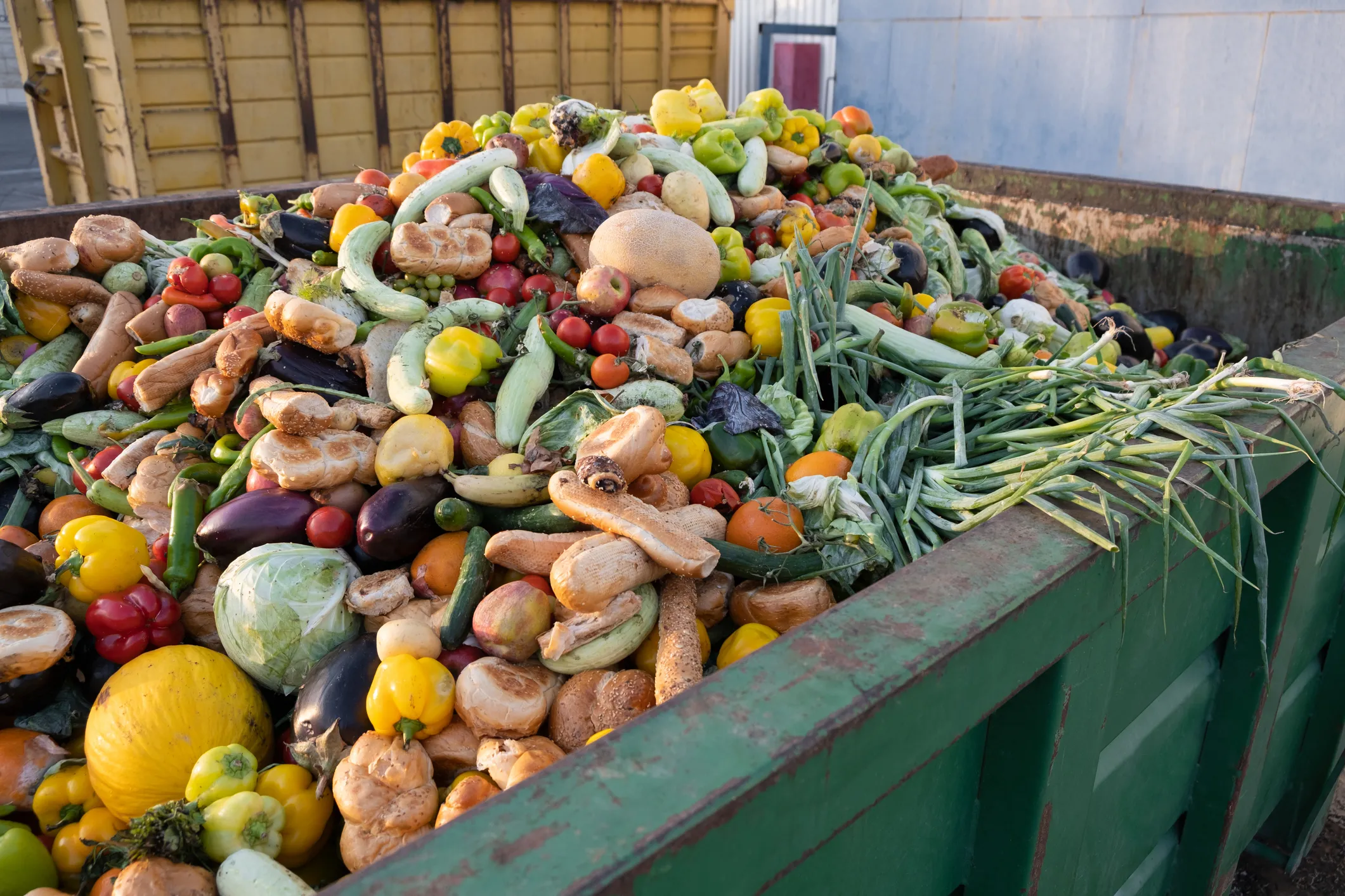 Cheaf, the app that fights food waste and could be the digital solution ...