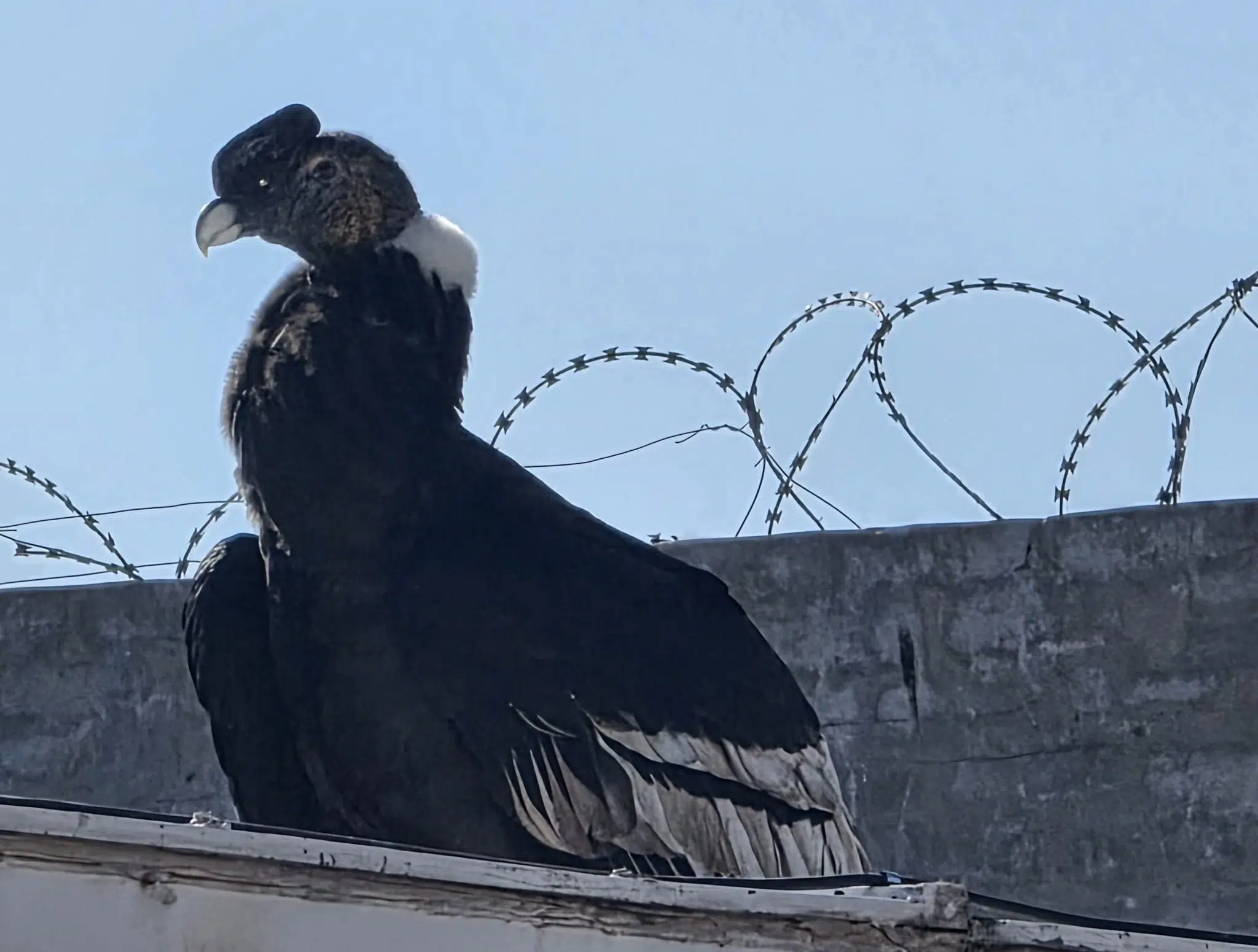 Addictiveanna xxx videos she is a extremely attractive