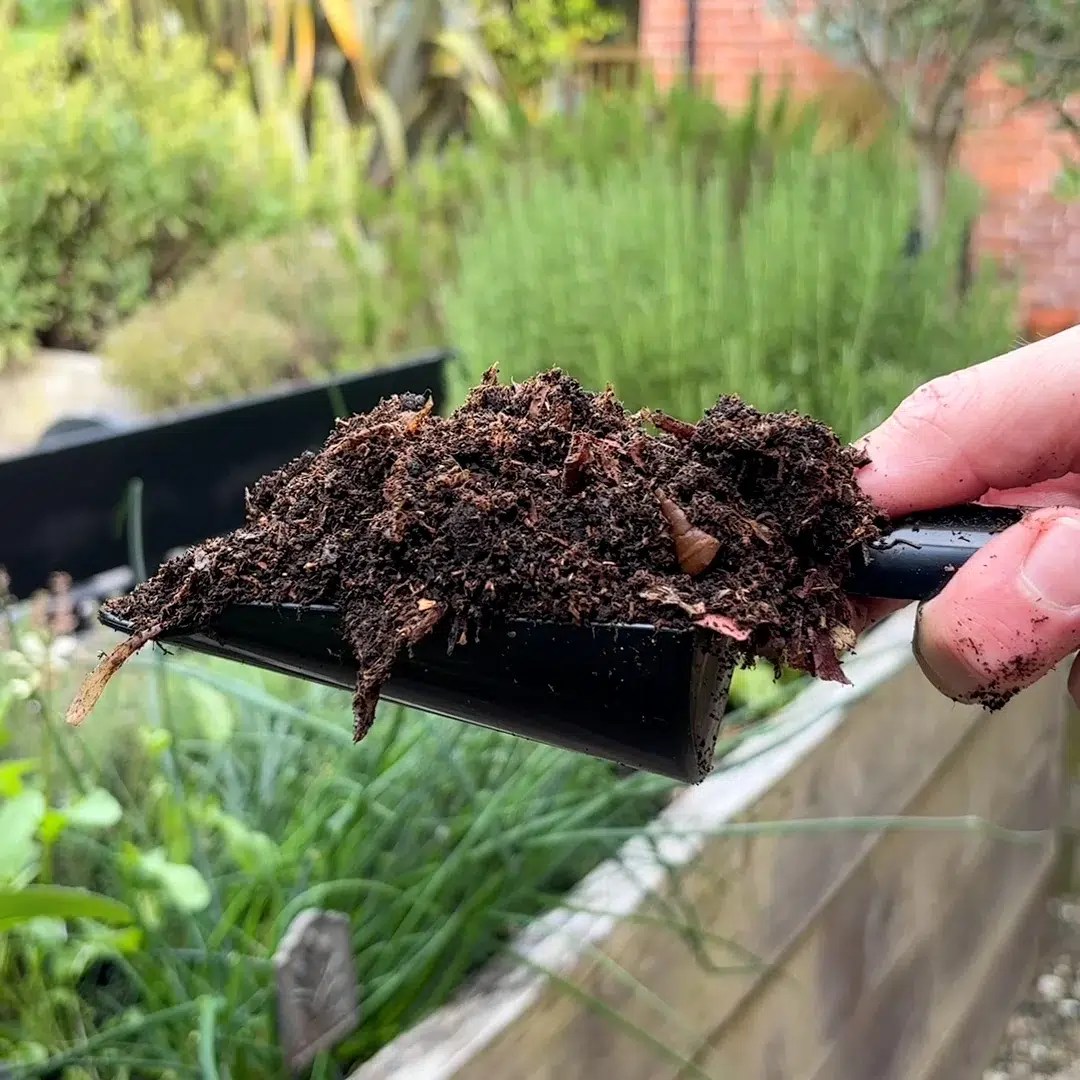 Transforming Waste: From Garbage to Natural Fertilizer, the Home ...