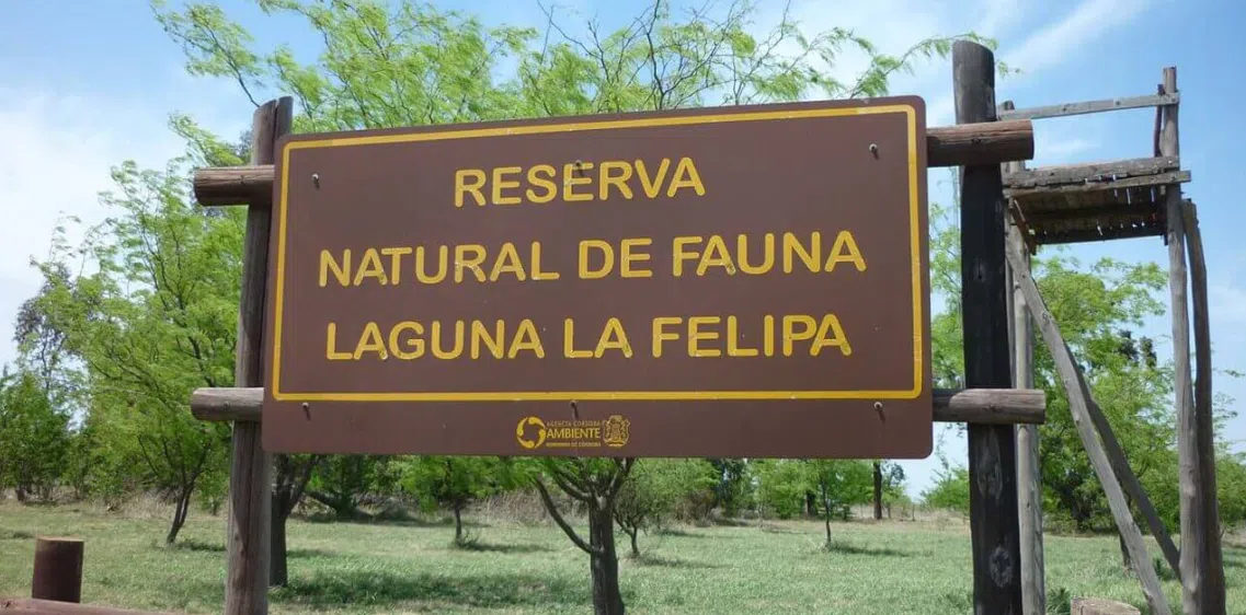 La Felipa, un santuario natural que renace en General Cabrera ...