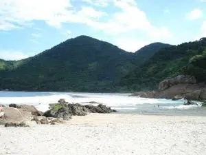 Trinity revived: the Brazilian island that resurfaced without human ...